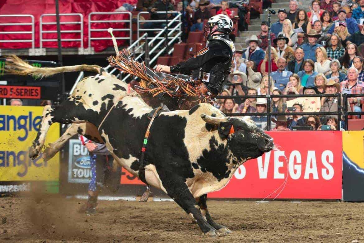 Save A Horse, Ride A Cowboy