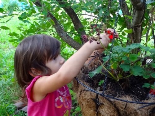 An Outdoor Sensory Learning Activity For Toddlers