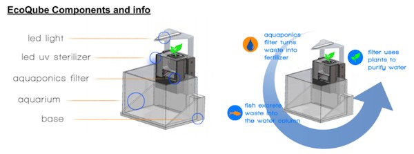 The EcoQube: Desktop Aquaponic Garden With Fish