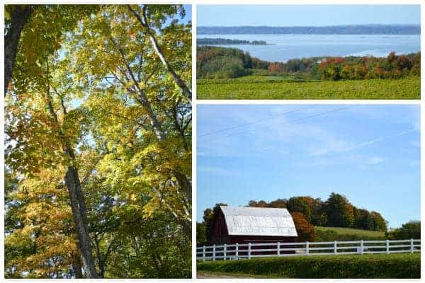Family Friendly Things To Do In The Fall In Traverse City
