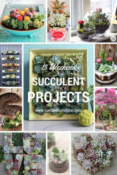 13 Gorgeous Succulent Projects You Can Do This Weekend