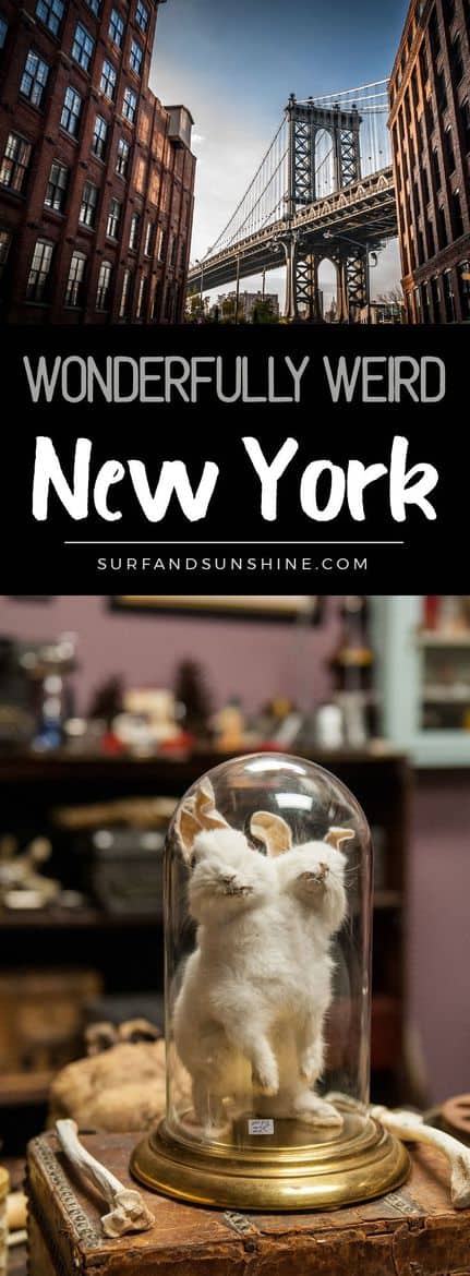 Wonderfully Weird Things to See and Do in New York City – Surf and Sunshine