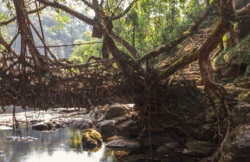 12 Beautiful Footbridges Around The World