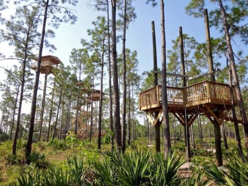 Forever Florida: Conservation And Adventure All Rolled Into One!