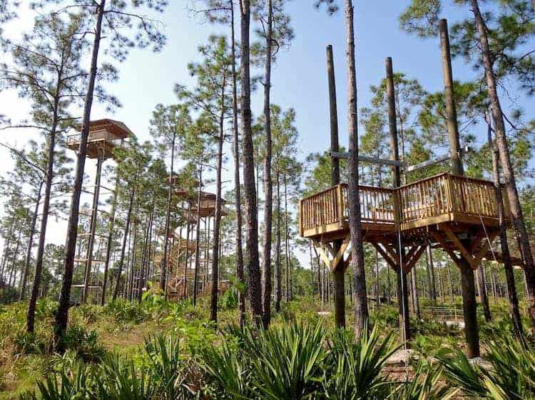 Forever Florida: Conservation And Adventure All Rolled Into One!