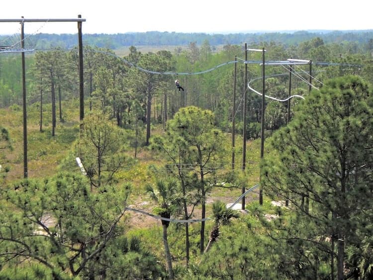 Forever Florida: Conservation And Adventure All Rolled Into One!