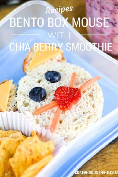 Bento Box Mouse + Chia Berry Smoothie Recipe
