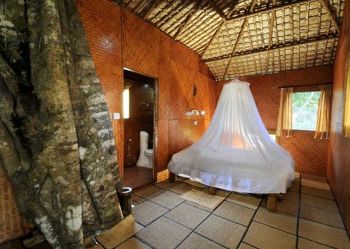 12 Tree House Resorts You Can Actually Stay At!