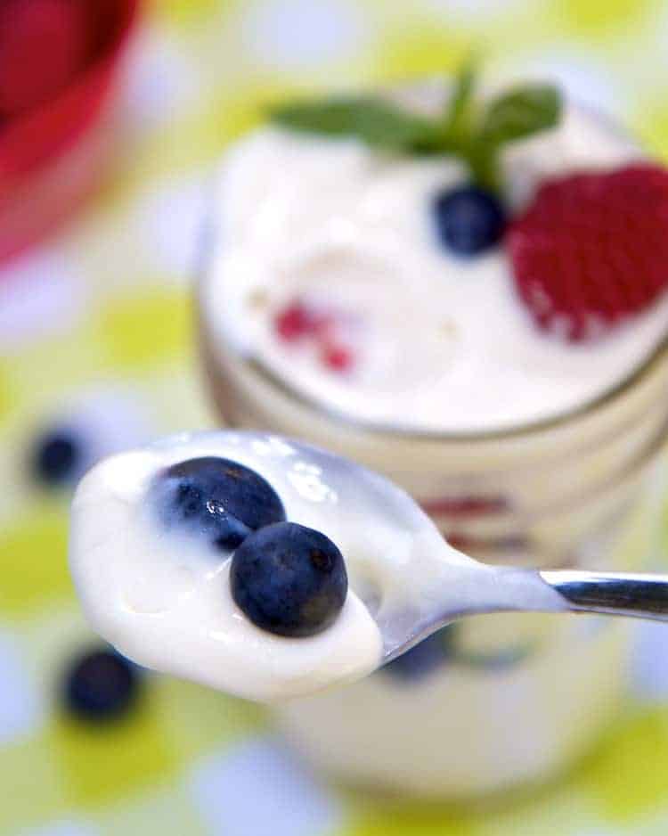 Memorial Day BBQ Picnic Recipes: Drunk Corn, Tropical Chicken Sticks ...