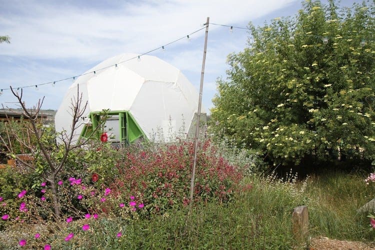 The Ecology Center: Green Living Education And Inspiration