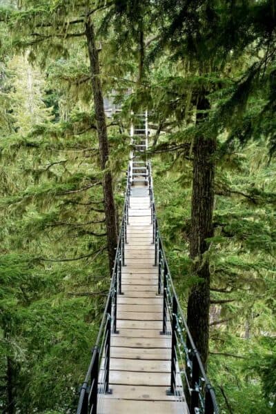 12 Beautiful Footbridges Around The World